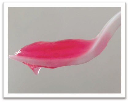 Level 4: Puree food - Leeds Community Healthcare