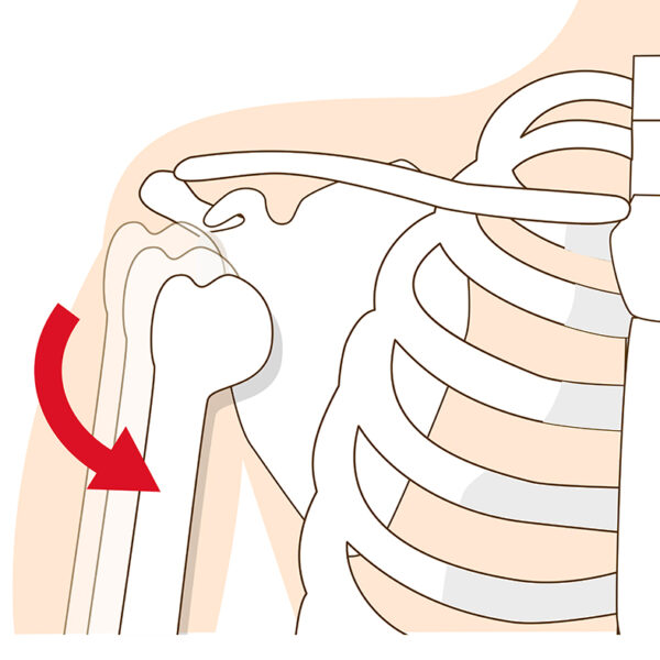 Known and diagnosed shoulder problems - Leeds Community Healthcare